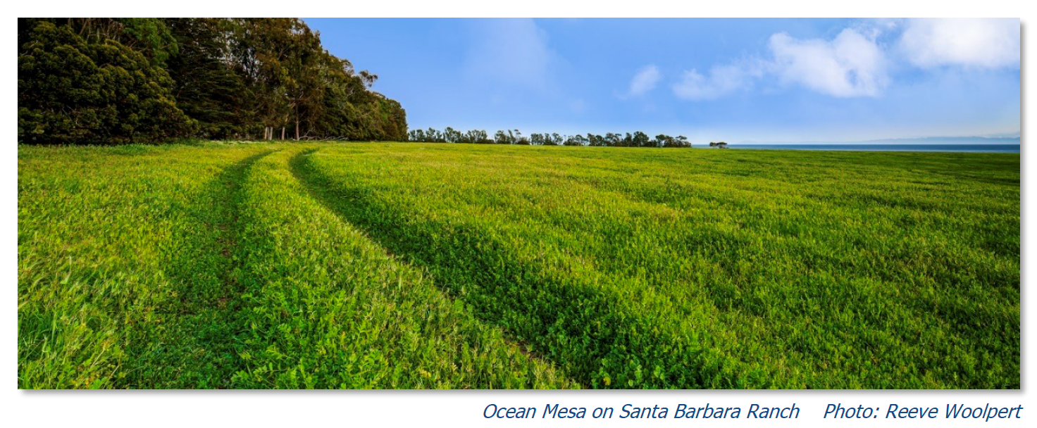 DMF Fund Seaside Development Project - GCC