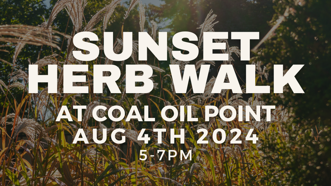 HERB WALK AT Coal Oil Point WITH NICOLE IAQUINTO - GCC